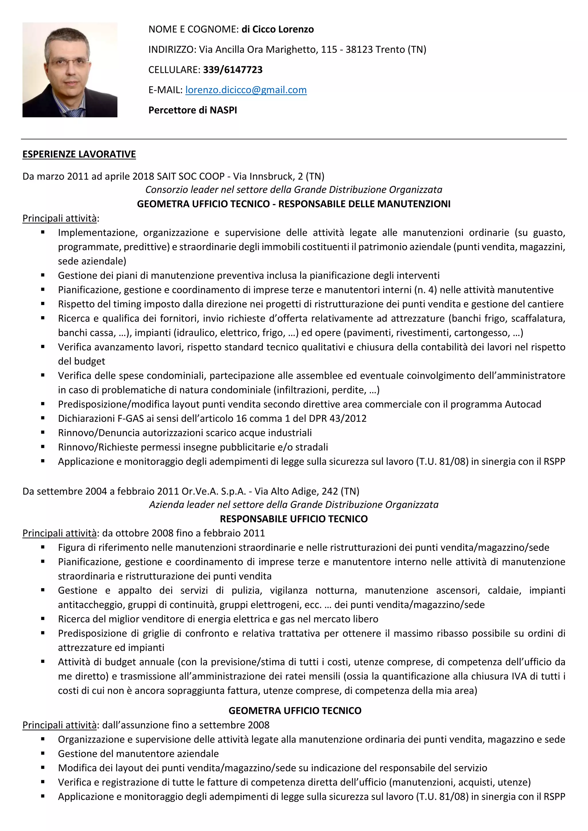 Curriculum vitae | PDF