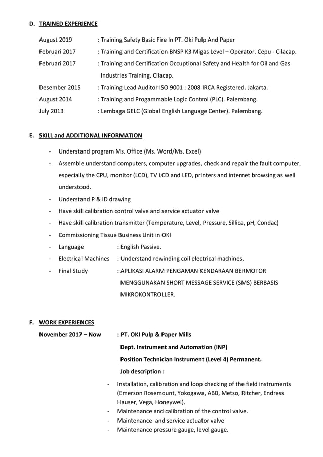 Curriculum vitae | PDF