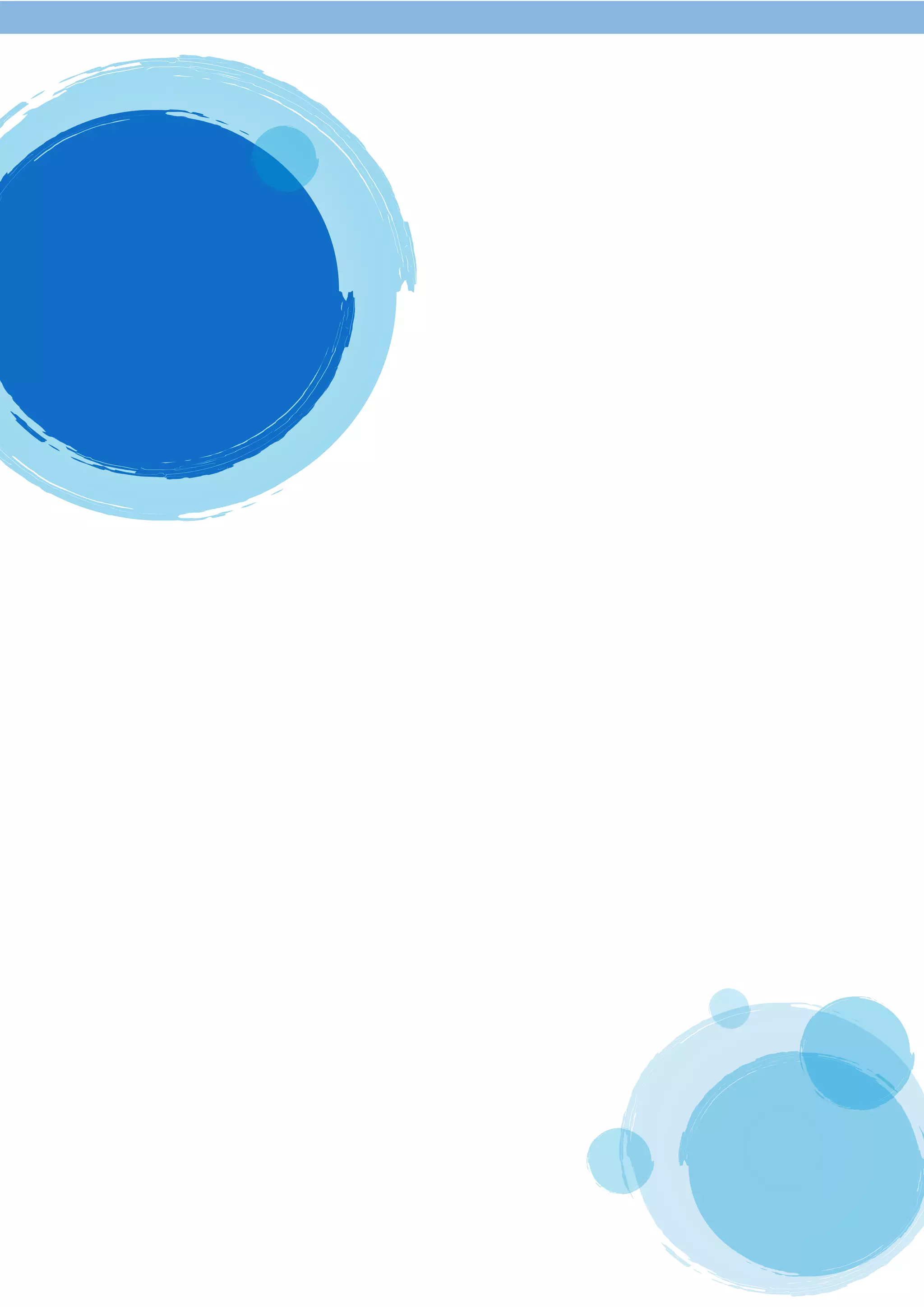 Curriculum vitae | PDF