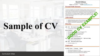 Curriculum Vitae.pptx