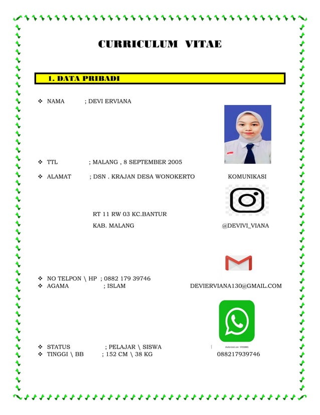 Curriculum vitae devi-6 | PDF
