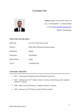 Curriculum vitae - EN | PDF