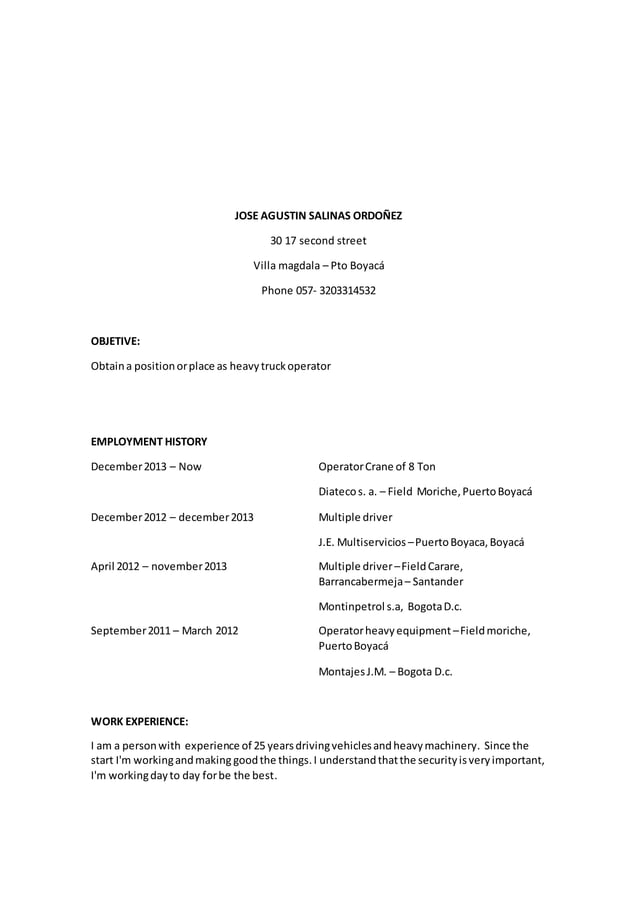 Curriculum vitae agustin salinas | PDF