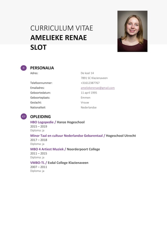 Curriculum vitae | PDF