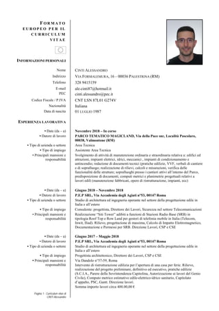Curriculum vitae cinti a. | PDF