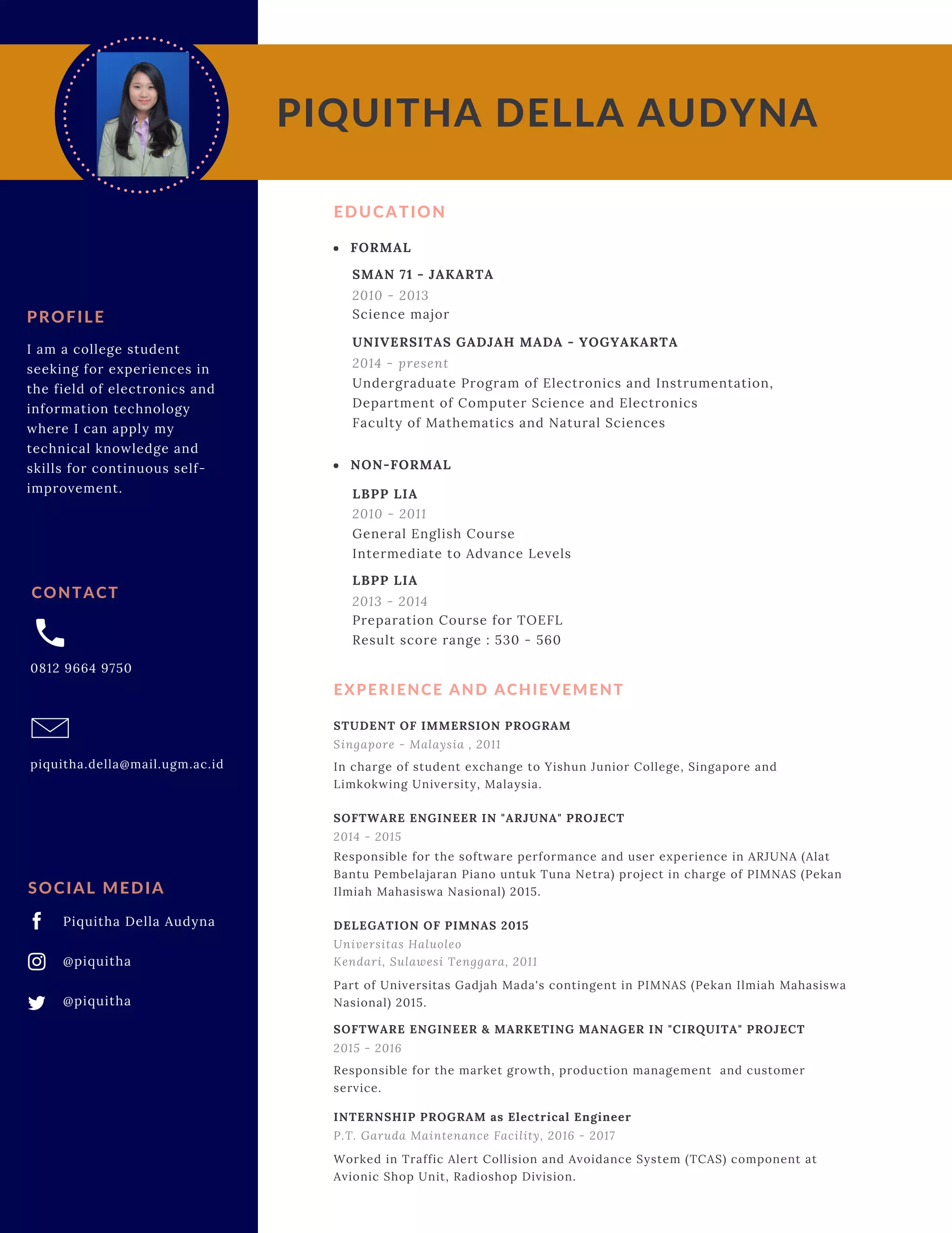 Curriculum vitae piqi | PDF