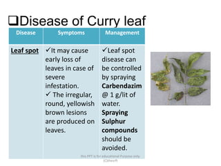 Curry leaf ppt | PPTX