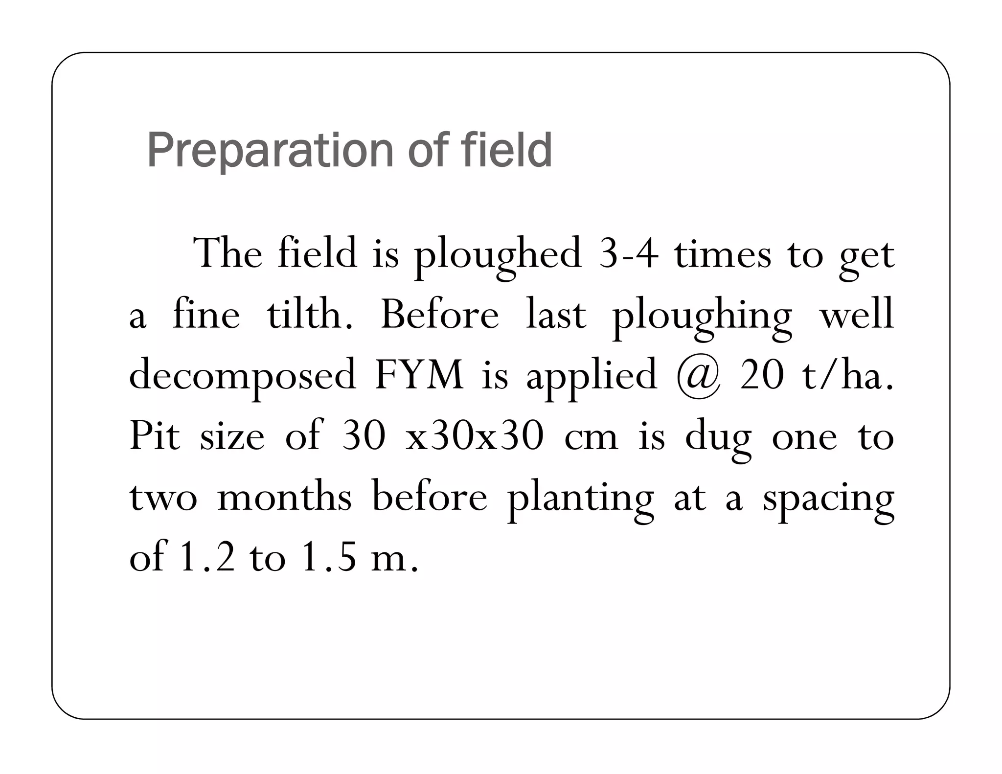 Production technology of curry leaf | PDF | Agriculture | Industries