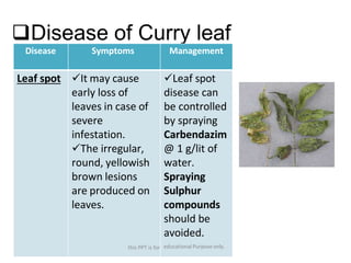 curryleaf org_1.pptx