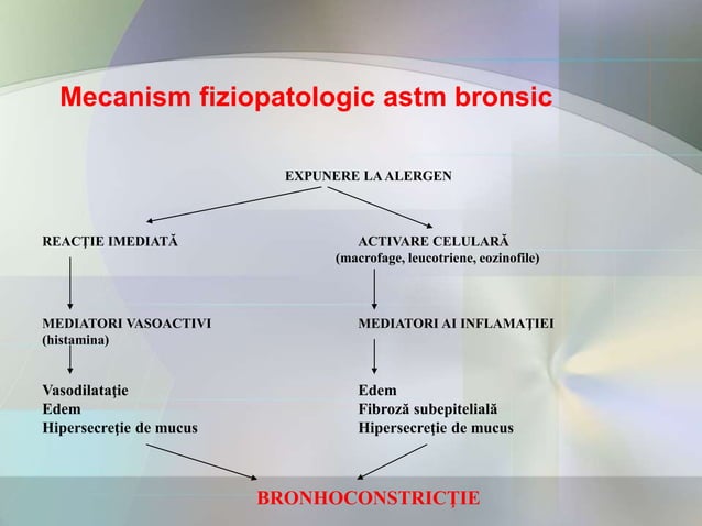 Curs amg-ap-respirator | PPT