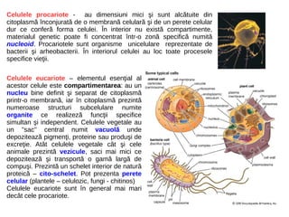 Bio celulara si moleculara | PDF