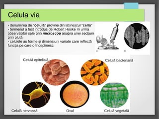 Bio celulara si moleculara | PDF