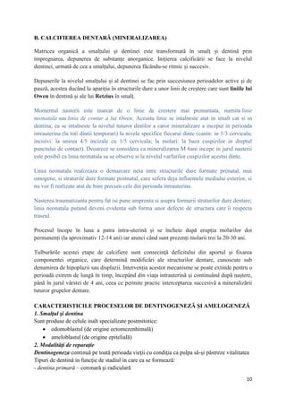 Curs 1 dt notiuni de odontogeneza | PDF