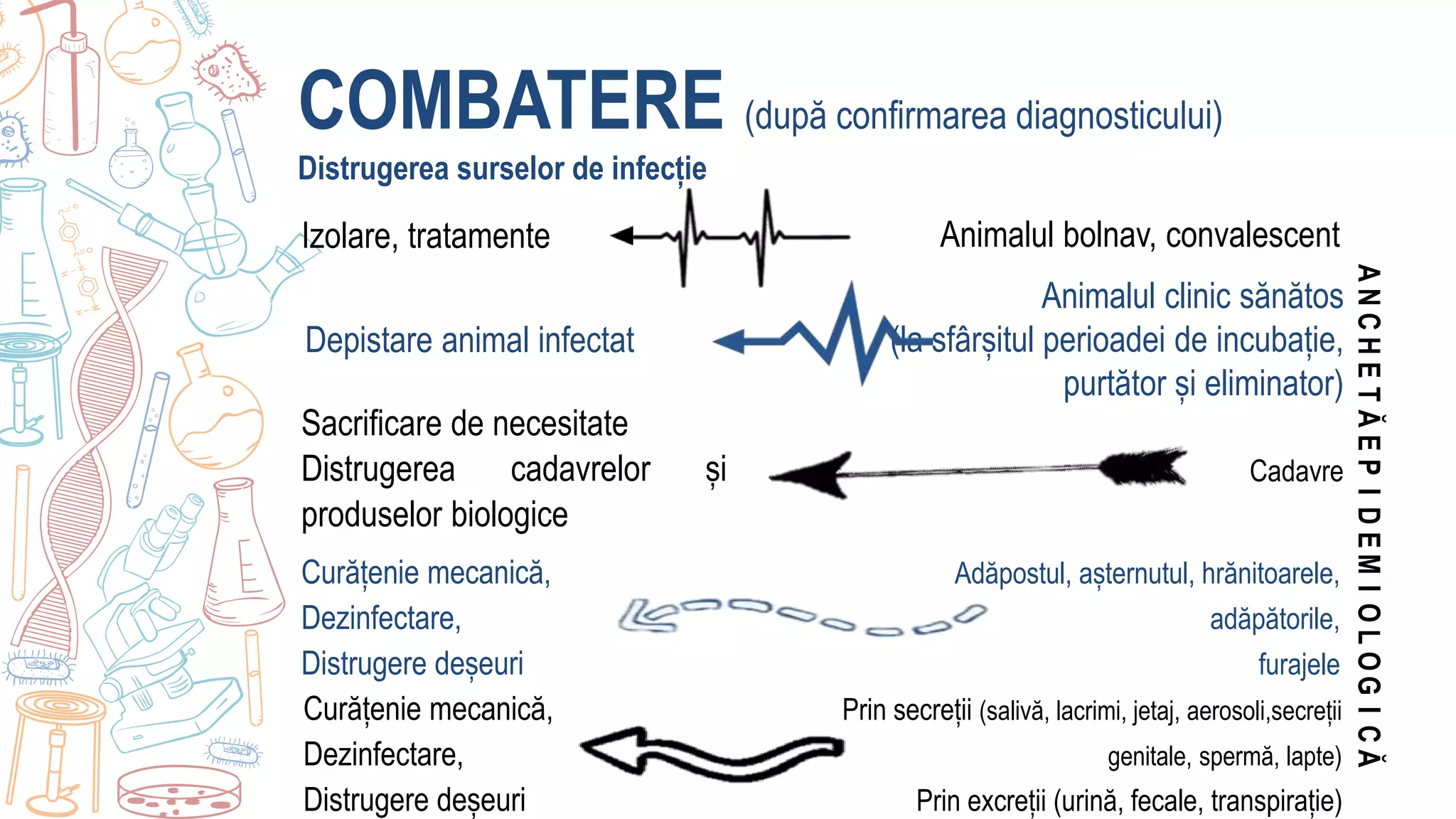 curs 1 notiuni introductive.pptx
