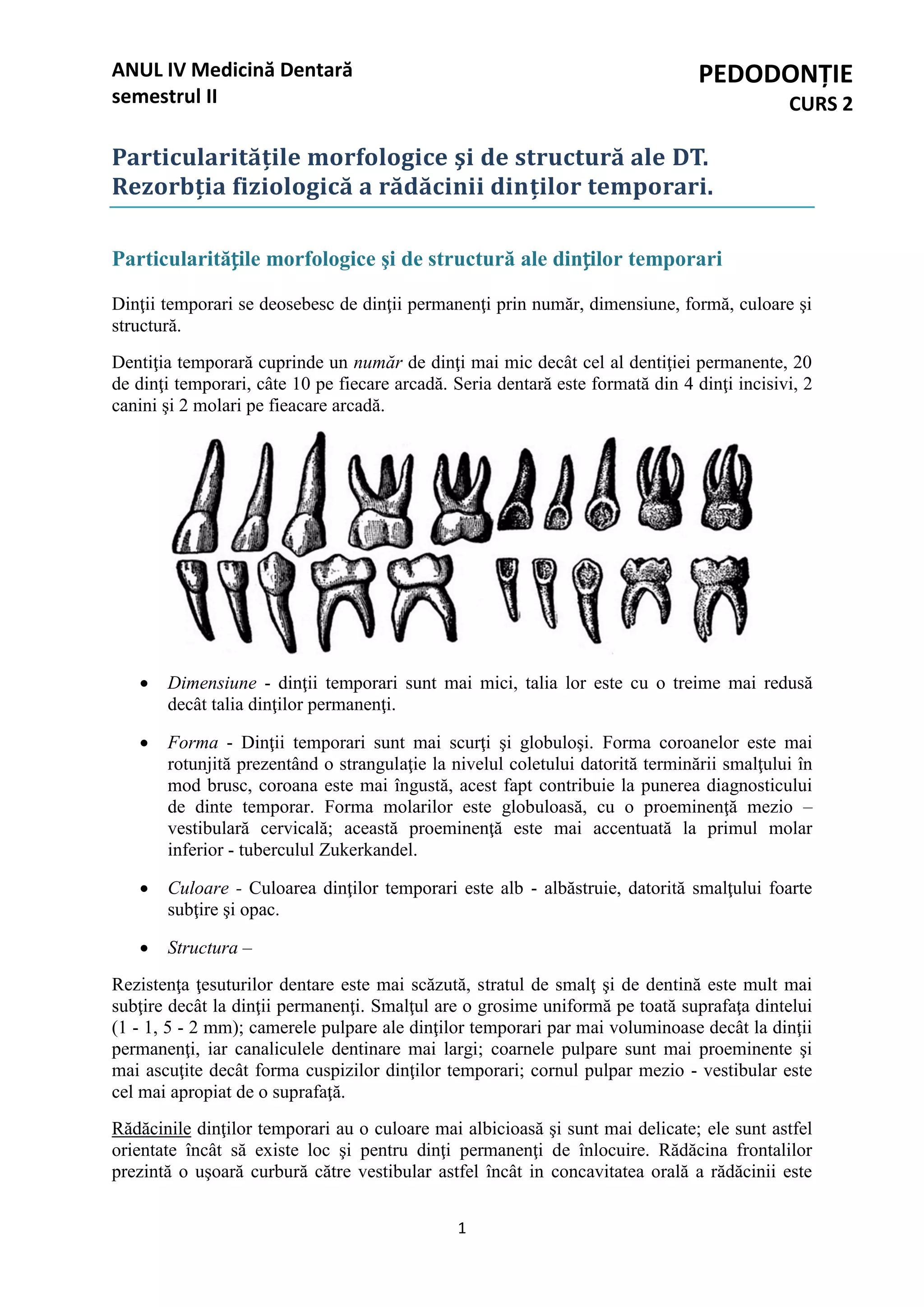 Curs 2 dt particularitati morfologice si de structura | PDF