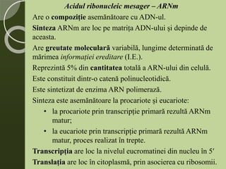 curs 9, ARN.ppt
