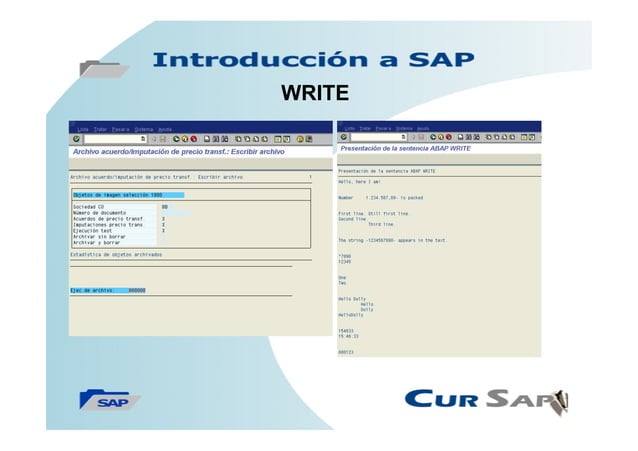 CurSAP.com - Introducción Parte 2 | PDF | Computing | Technology ...