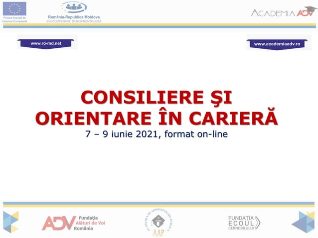 Curs Consiliere si Orientare in Cariera.pdf