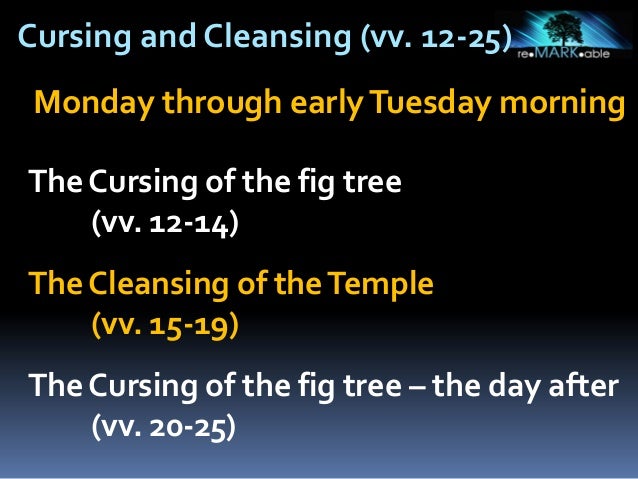 Cursing and cleansing mark 11-12-25 - jan 19, 2014