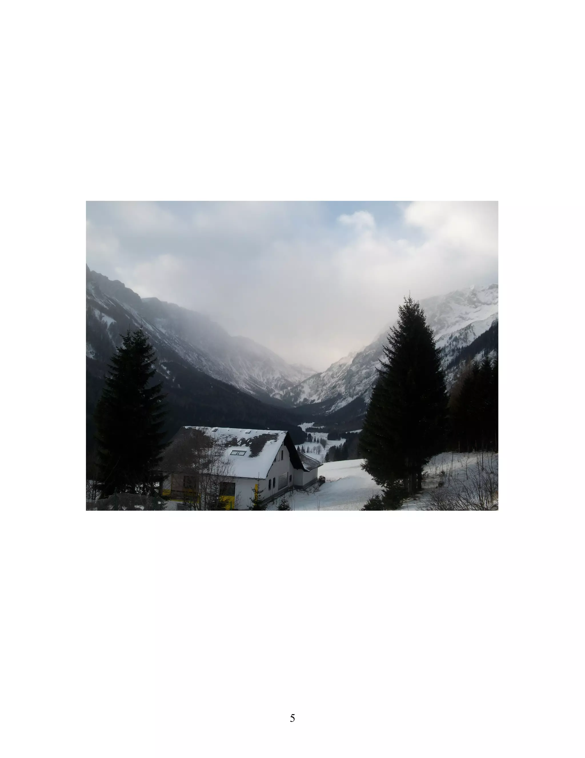 O scurta prezentare | PDF