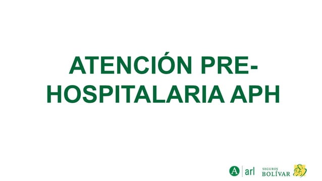 CURSO-APH.pdf