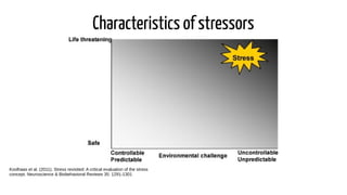 Vertebrate stress mechanisms under change | PPT