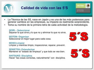 CURSO 5´s.ppt