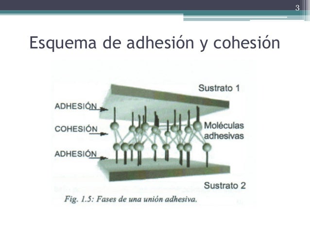 Curso adhesivos para comerciales