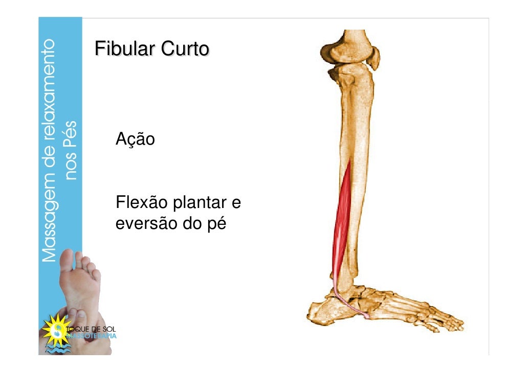 Curso anatomia membrosinferiores_pernaepe