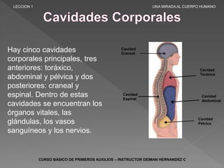 CURSO APH-ANATOMÍA.ppt