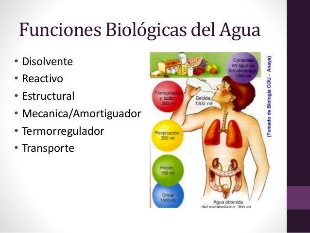 Curso Bioquímica 05-Agua