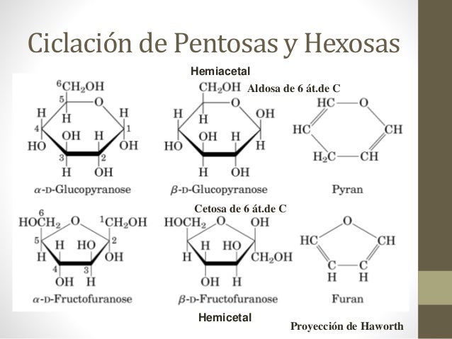 Bioquímica;Quimica De La Vida; En Farmacia : julio 2016