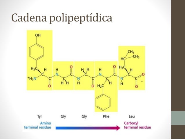 Curso Bioquímica 09-Proteínas