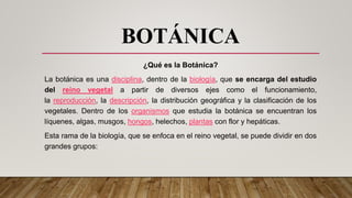CURSO DE BOTANICA Y FISIOLOGIA VEGETAL.pptx