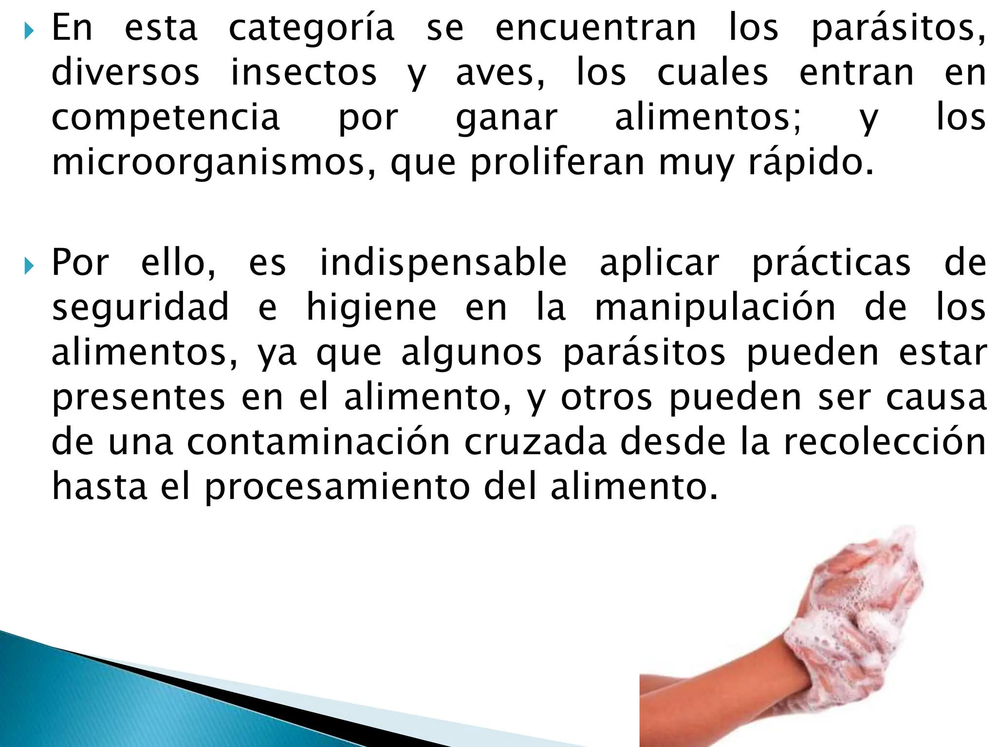CURSO DE CONSERVACION DE ALIMENTOS 2024.pptx