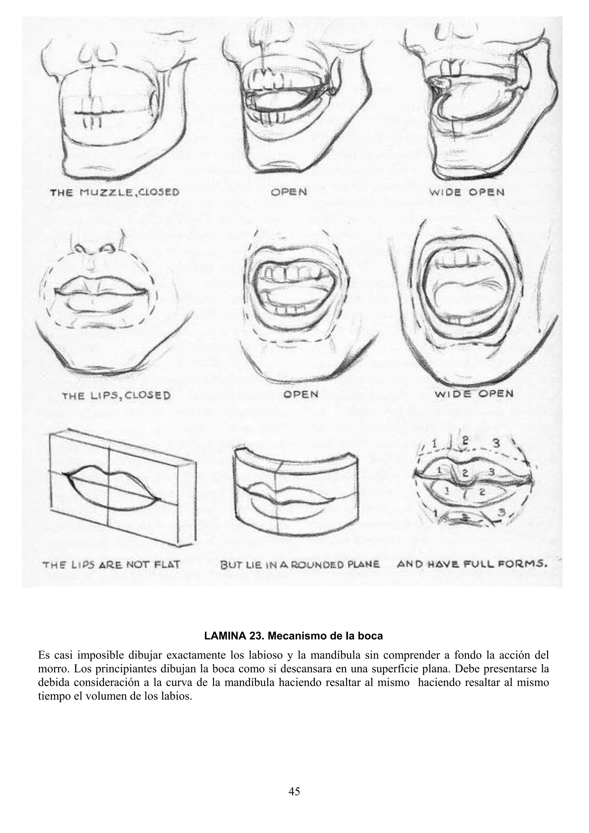Curso de dibujo cabezas y manos | PDF