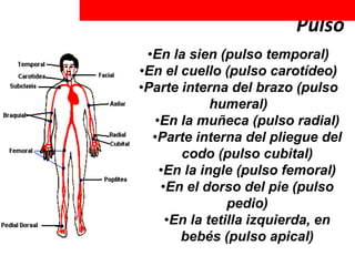 Curso de Primeros Auxilios en Accidentes de Entrenamiento | PDF