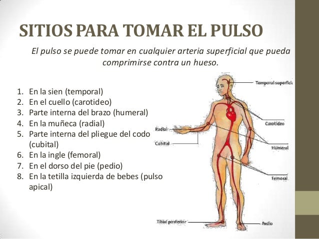 Así Es Como Se Mide El Pulso Y Estos Son Los Niveles Correctos – BDNE