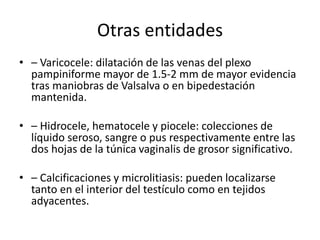 curso ecografia testicular básico para principiantes | PPTX