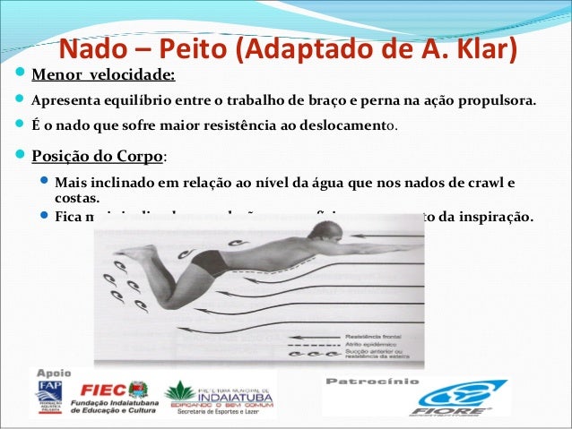 Curso Sobre O Nado Peito