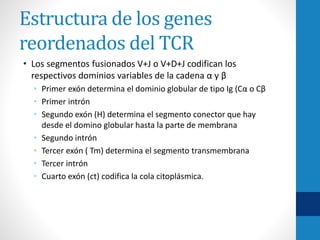 Curso Inmunologia 07 Diversidad Genetica | PPTX