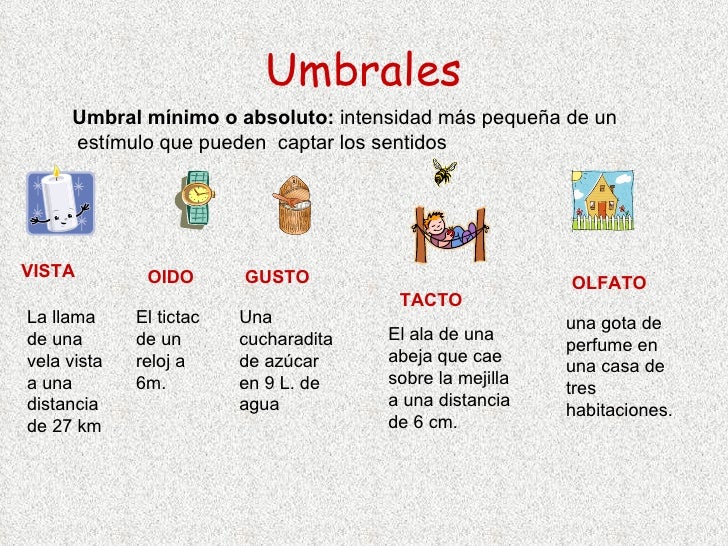 Sensación- percepción