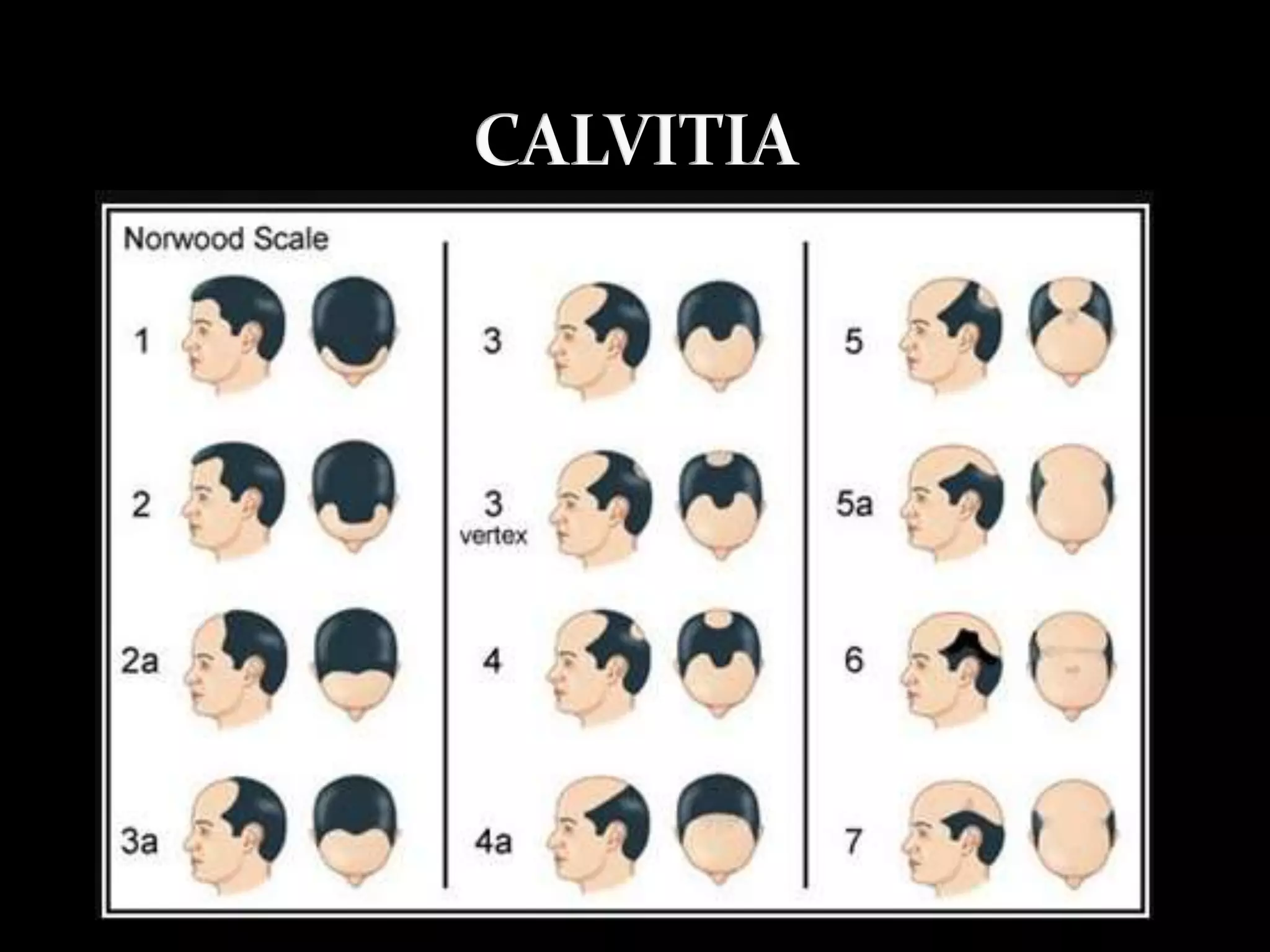 Patologia cutanata.pptx
