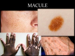 Patologia cutanata.pptx