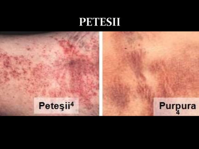 Patologia cutanata.pptx