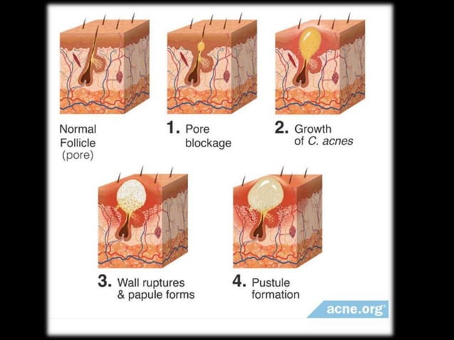 Patologia cutanata.pptx