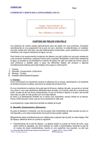 Curtido de pieles_de_alpaca | PDF