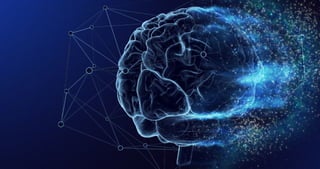 Curtis Cripe: Stress and Mood Regulation | PDF