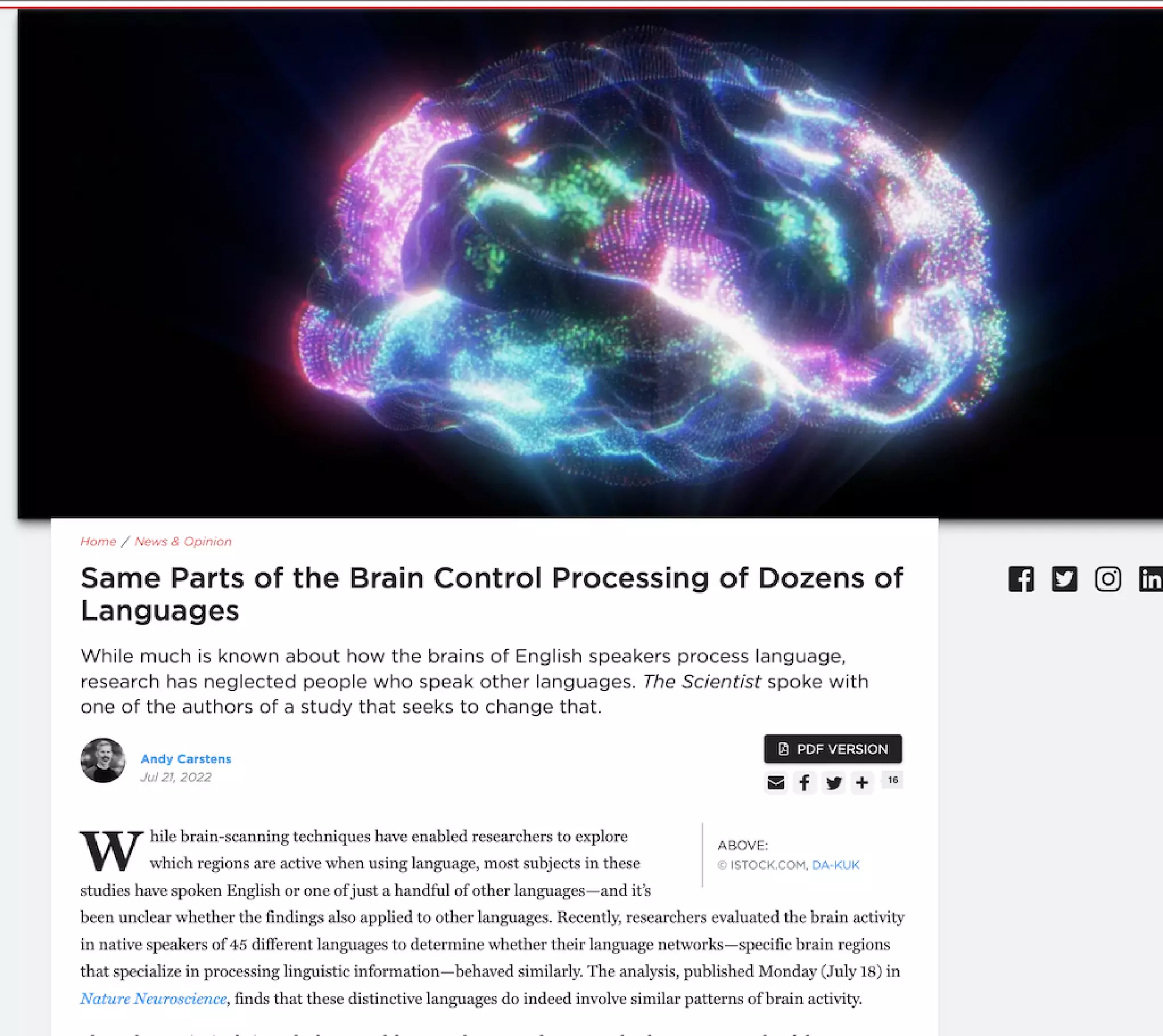 Same Parts of the Brain Control Processing of Dozens of Languages | PPT