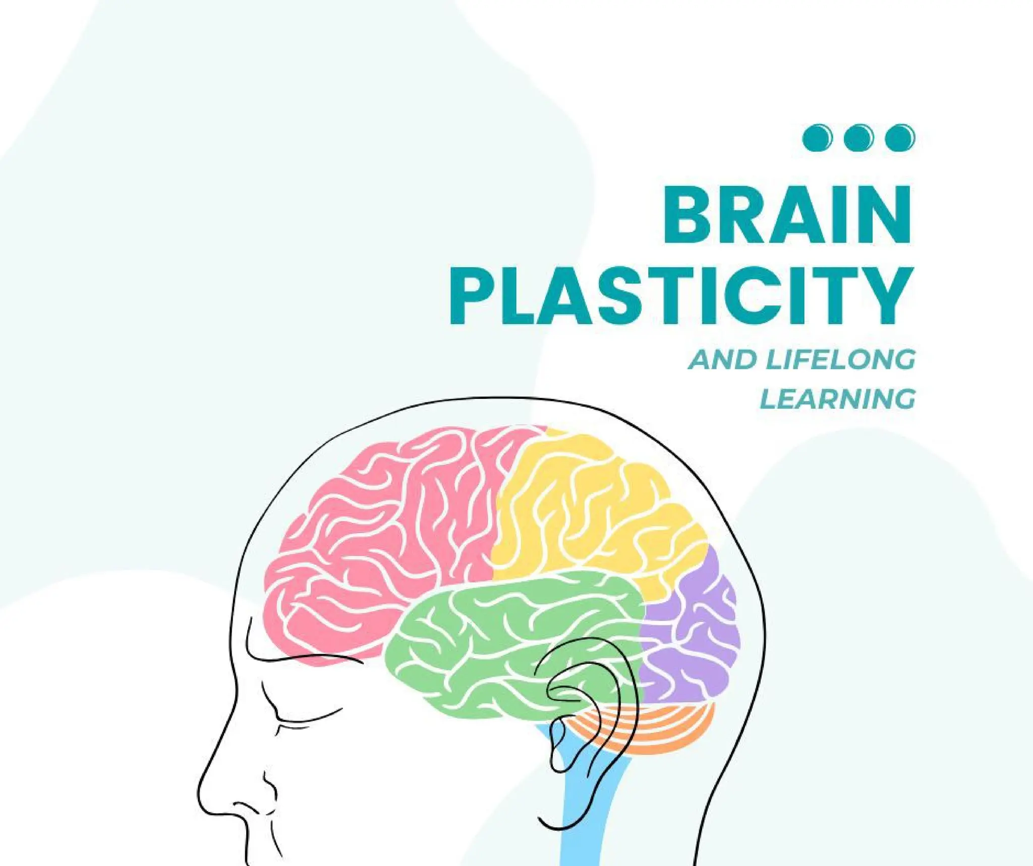 Lifelong learning taps into brain plasticity | PDF | Science